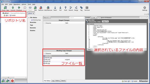 sourcetree_22 | Cherry Pie Web
